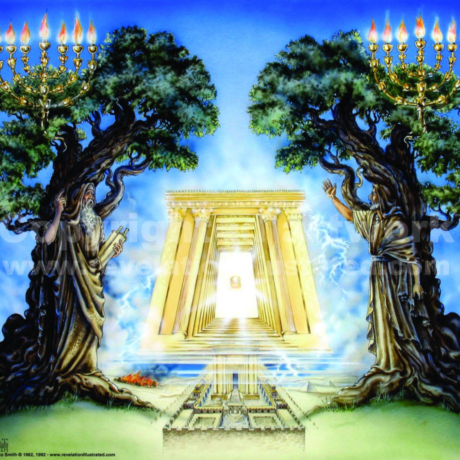 The Two Witnesses Taken Up Into Heaven Image Download - Revelation ...