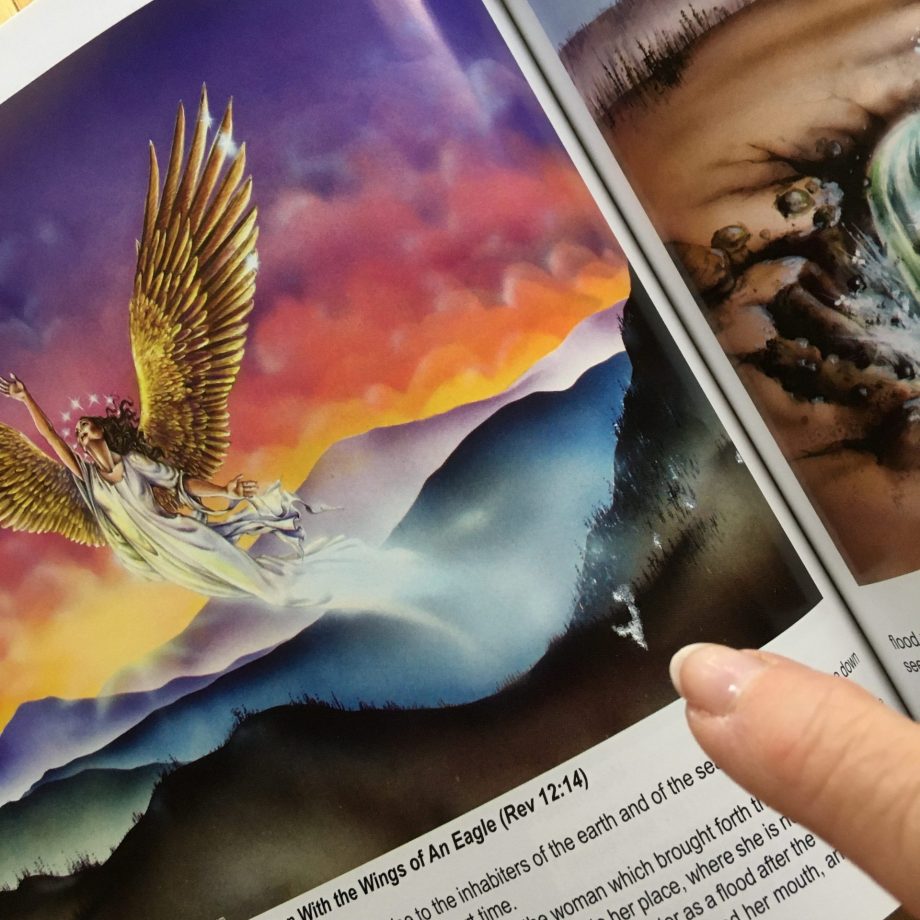 BOOK WITH SLIGHT PRINTING FLAWS, HALF PRICE - Revelation Productions